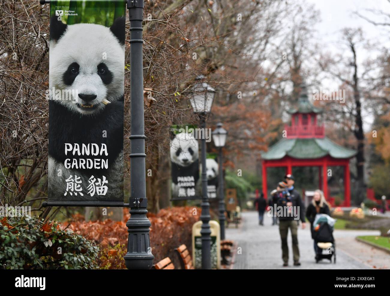 Berlin, Germany. 14th Dec, 2023. Posters of giant panda are pictured at ...