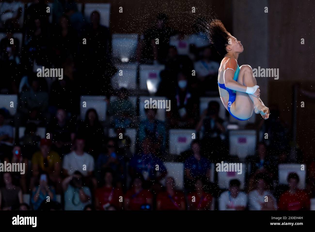 2024 olympics diving china hi-res stock photography and images - Alamy