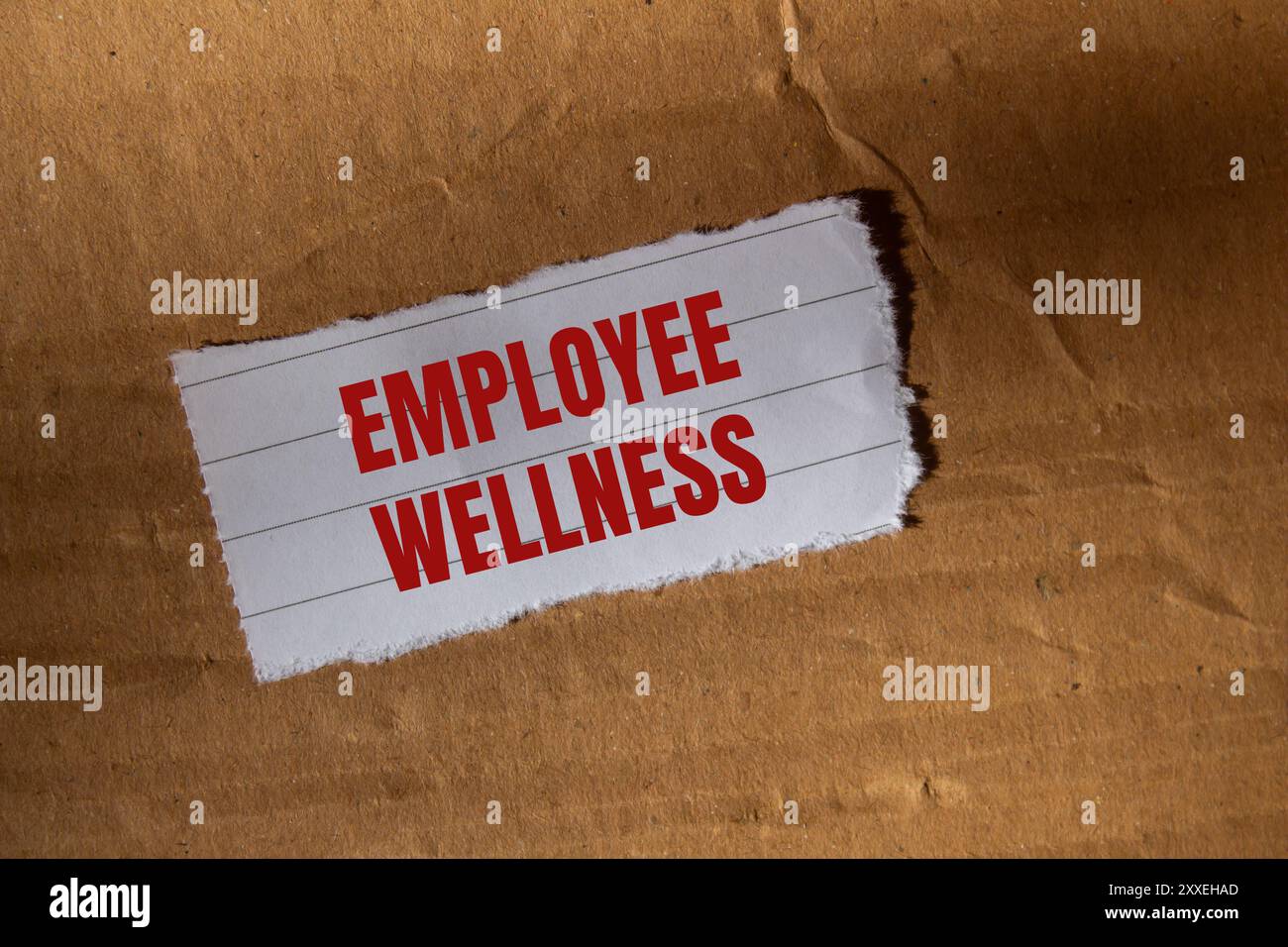 Employee wellness message written on ripped torn white paper piece with ...