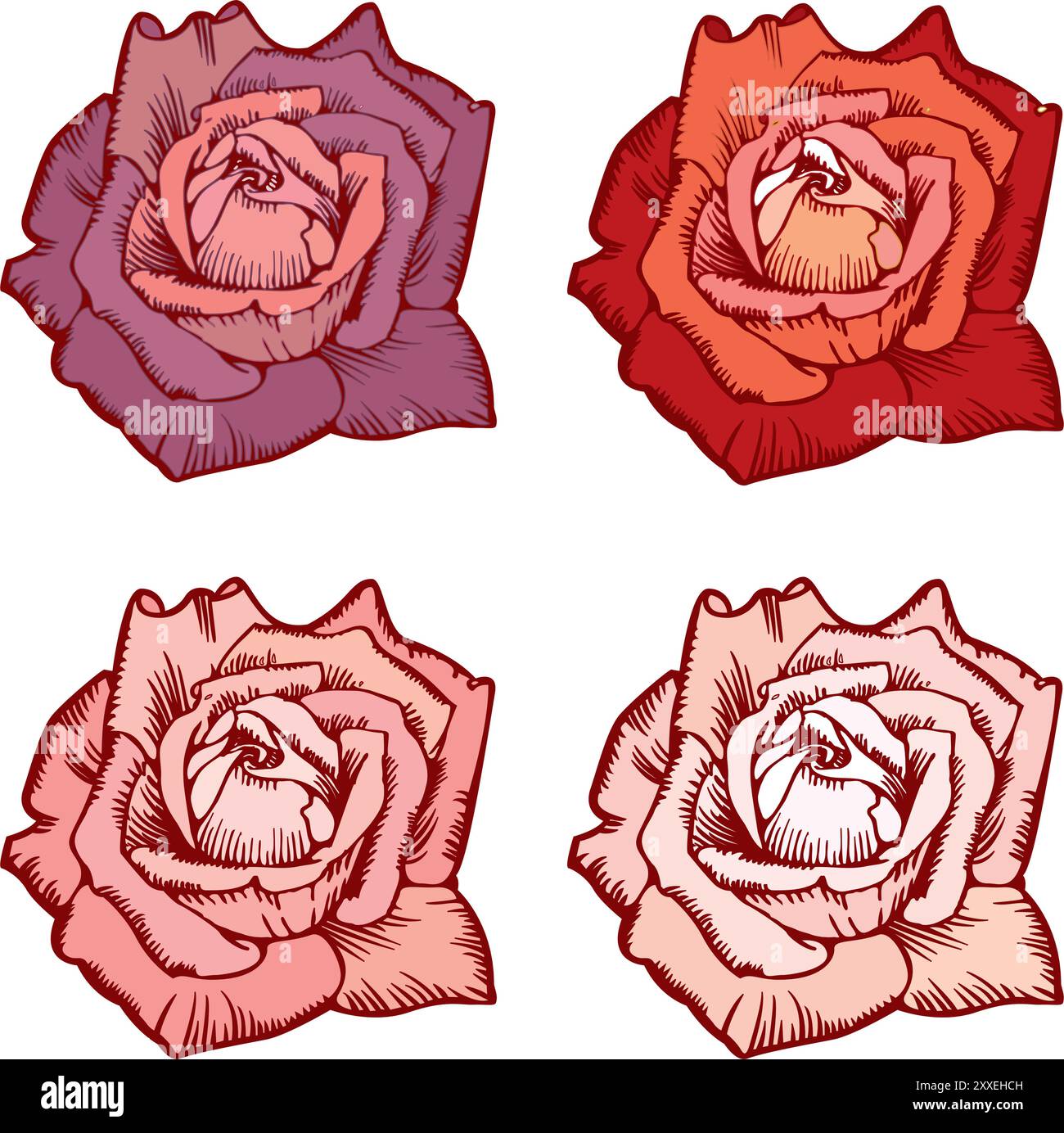 Big collection of roses in color for design. Set of highly detailed ...