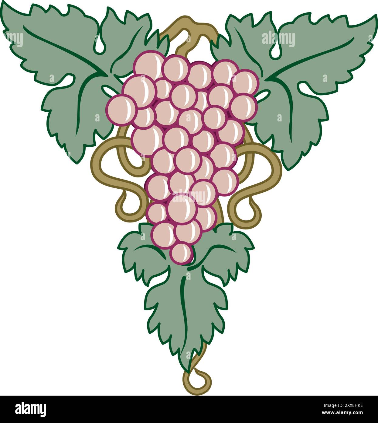 grapes composition with isolated view of hanging clusters of different ...