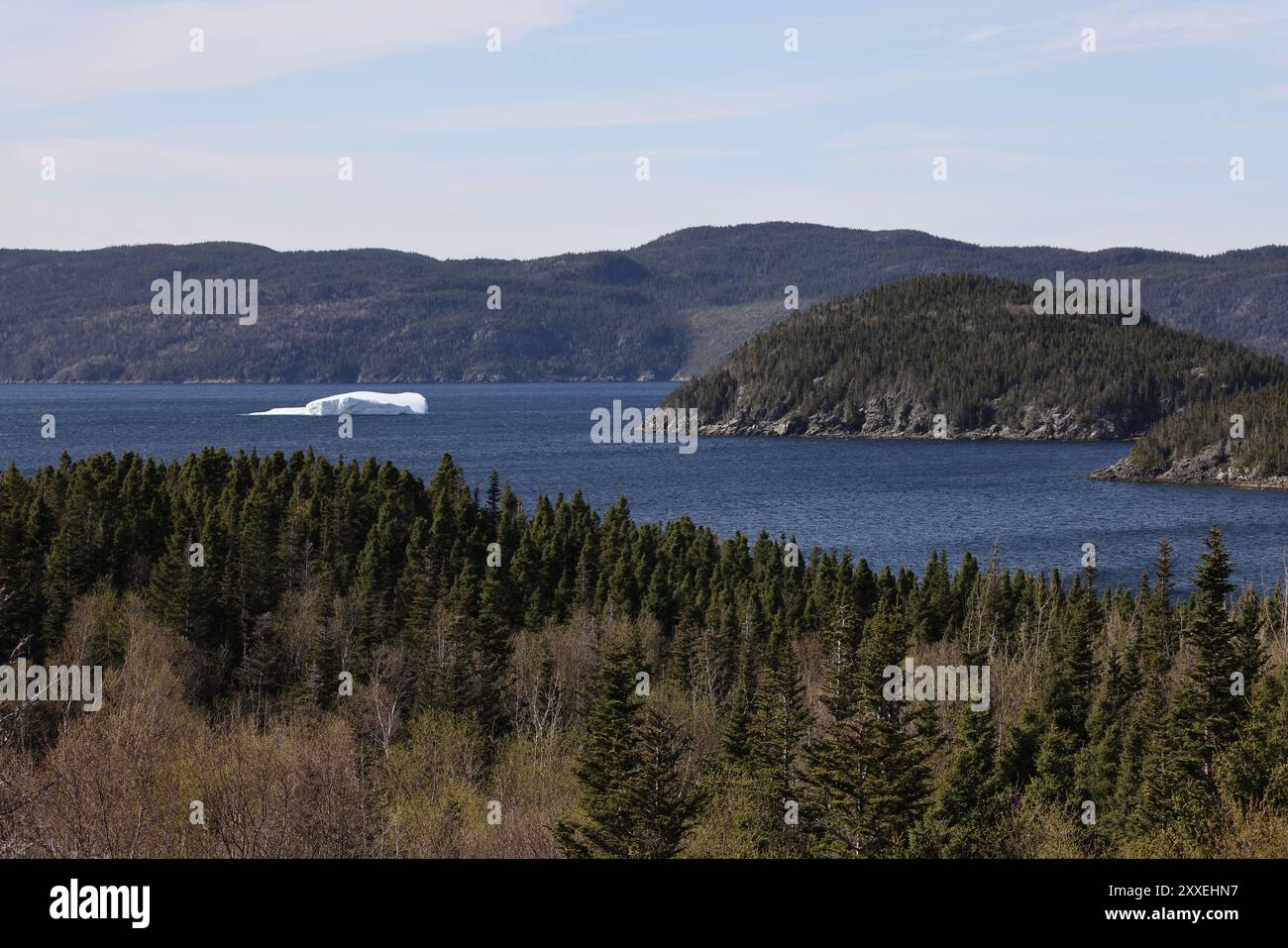 Iceberg alley newfoundland and labrador hi-res stock photography and ...