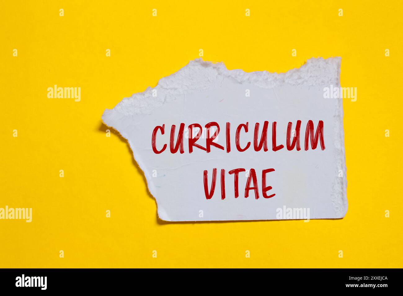 Curriculum vitae words written on ripped torn white paper piece with ...