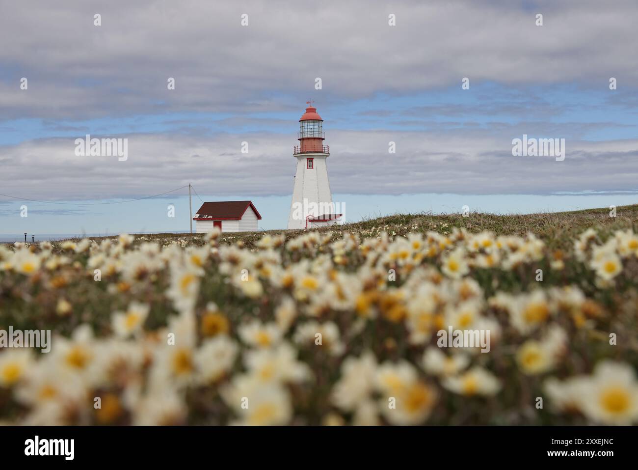 Port au choix newfoundland hi-res stock photography and images - Alamy