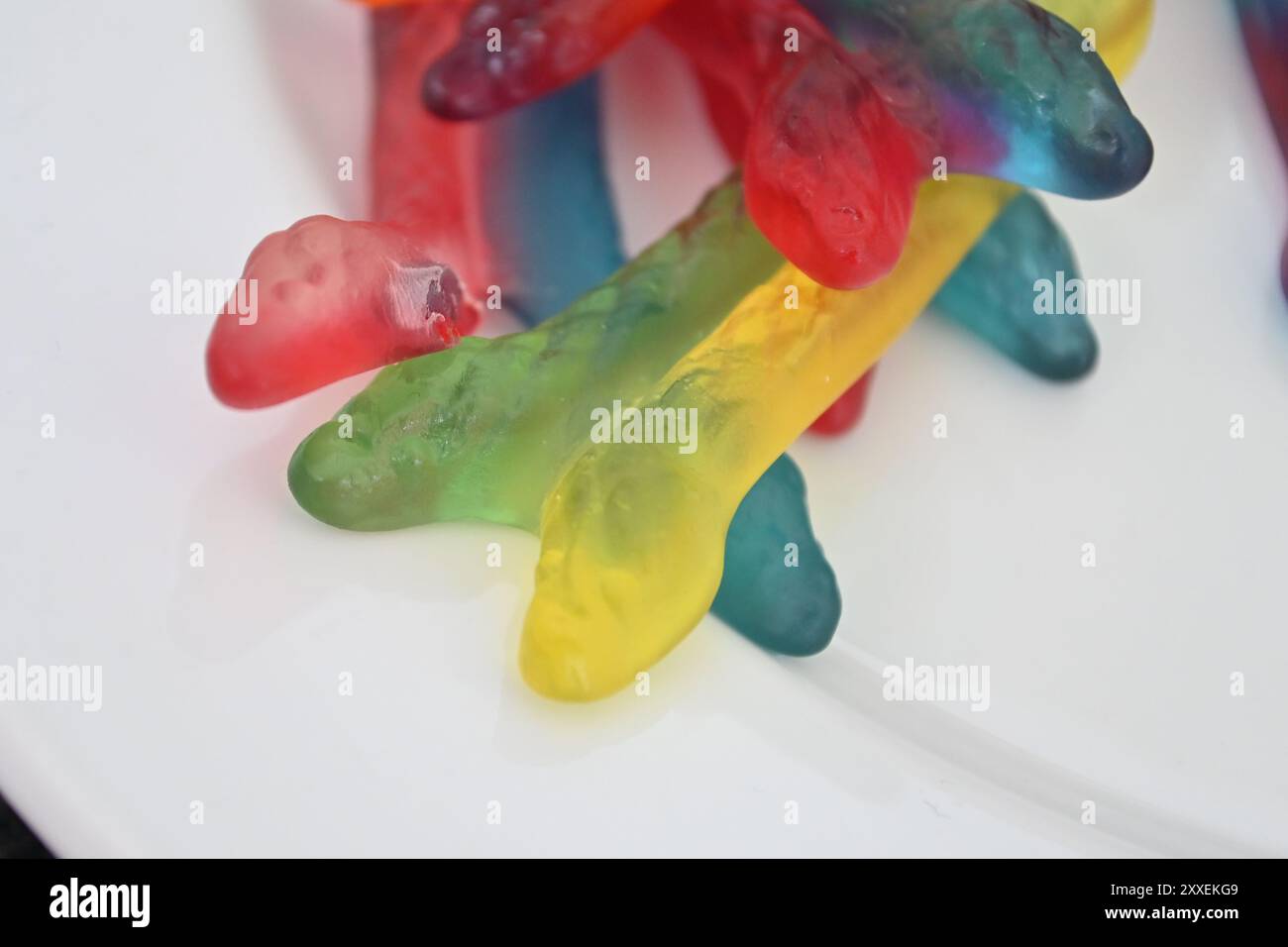 Sweet Colored Snakes 19 Stock Photo - Alamy