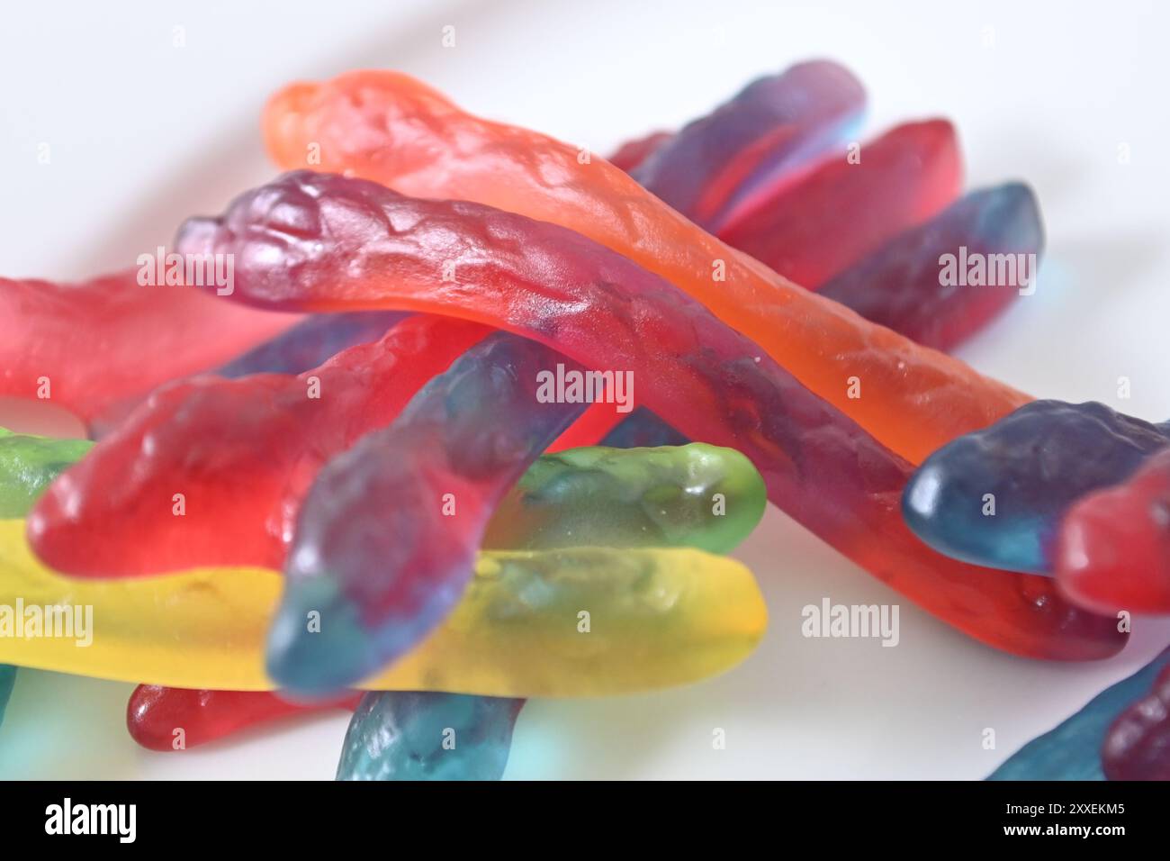 Sweet Colored Snakes 11 Stock Photo - Alamy