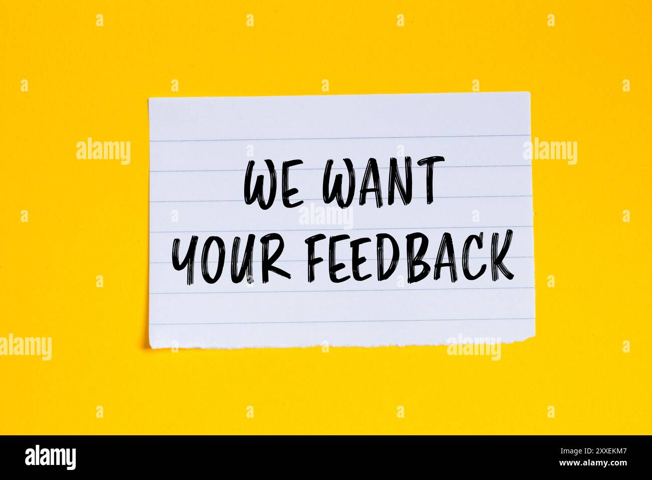 We want your feedback message written on ripped white paper piece with ...