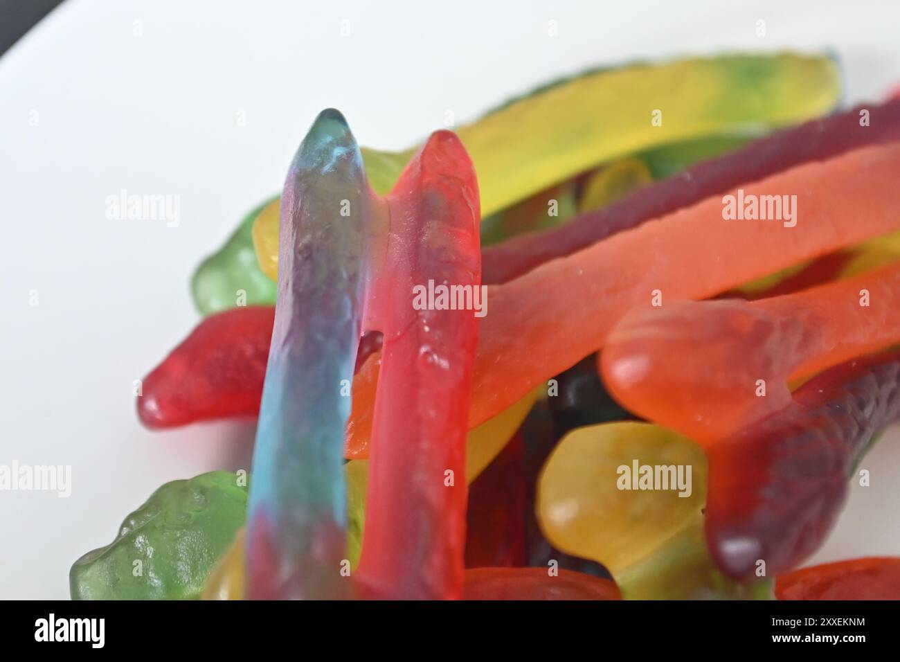 Sweet Colored Snakes 5 Stock Photo - Alamy