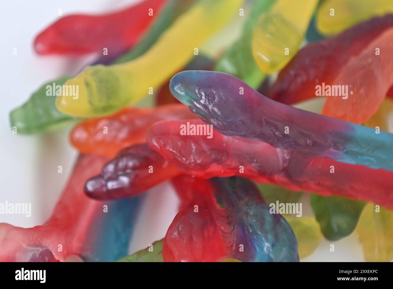 Sweet Colored Snakes 2 Stock Photo - Alamy