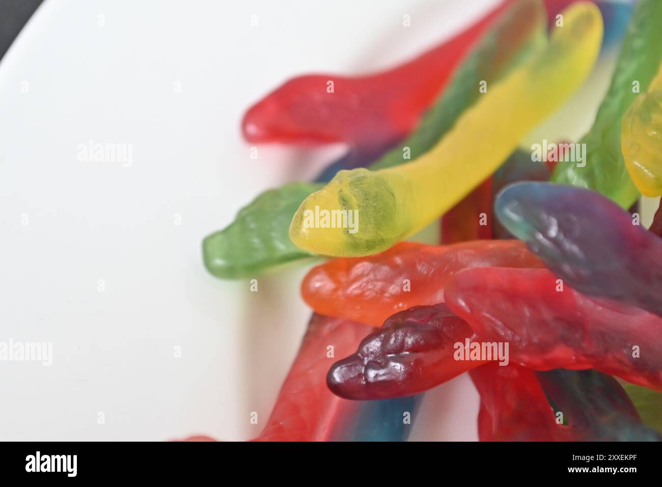 Sweet Colored Snakes Stock Photo - Alamy