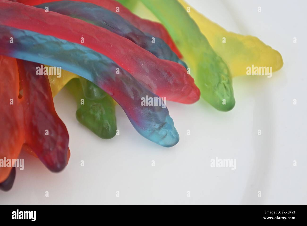 Sweet Snakes 9 Stock Photo - Alamy