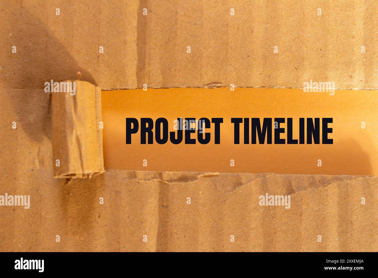 Project timeline message written on ripped torn cardboard paper with ...
