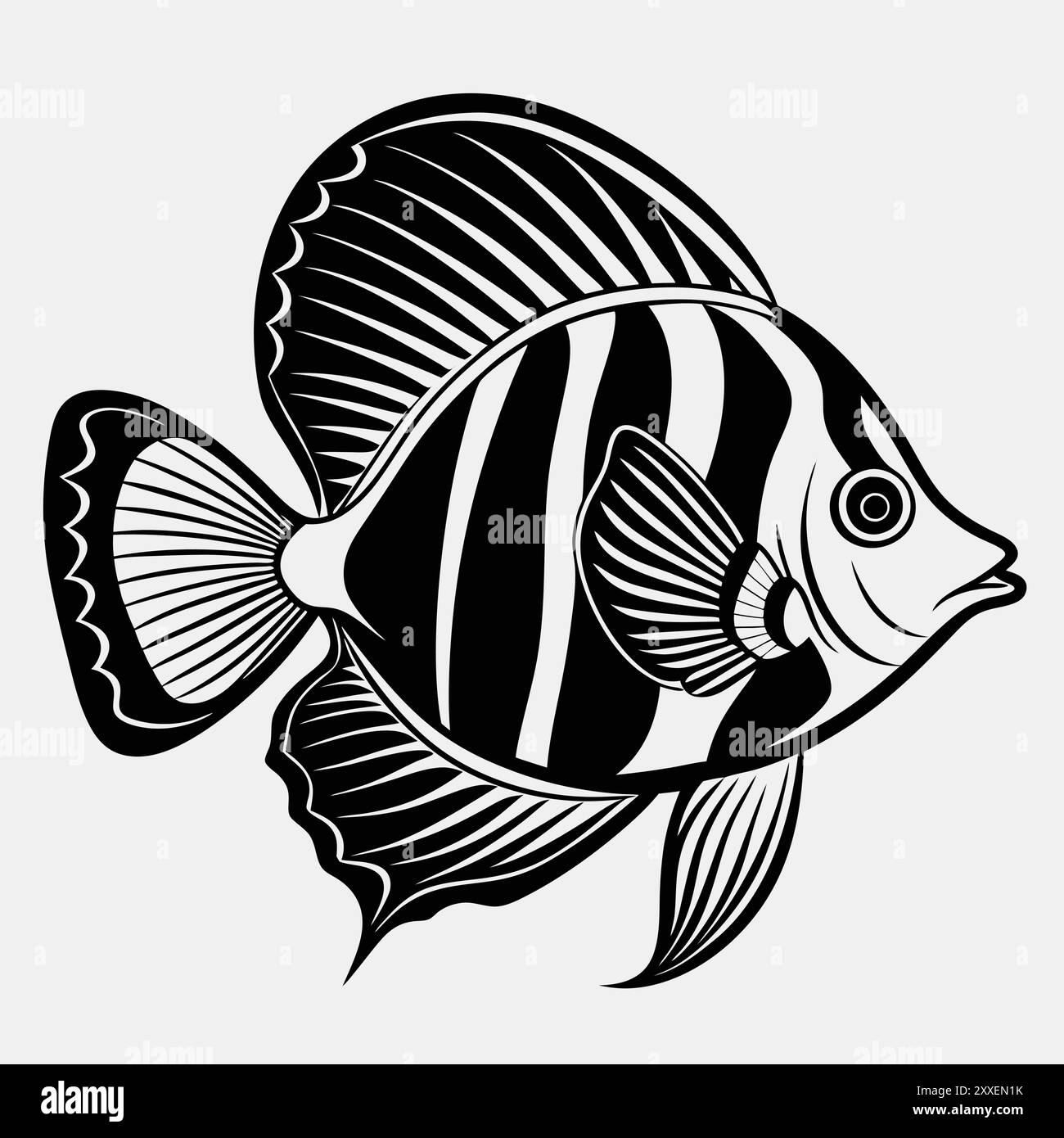 Fishillustration hi-res stock photography and images - Alamy