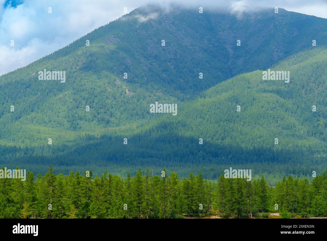 A view of lush, green forested mountains stretching into the distance ...