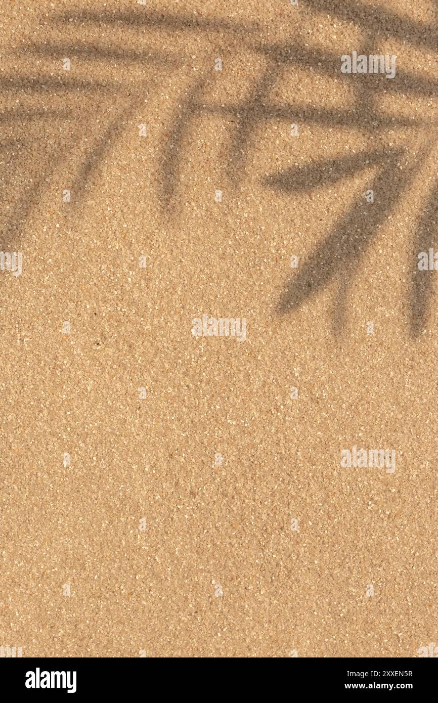 Sand on a beach with palm leaf shadow silhouette background. Tropical ...