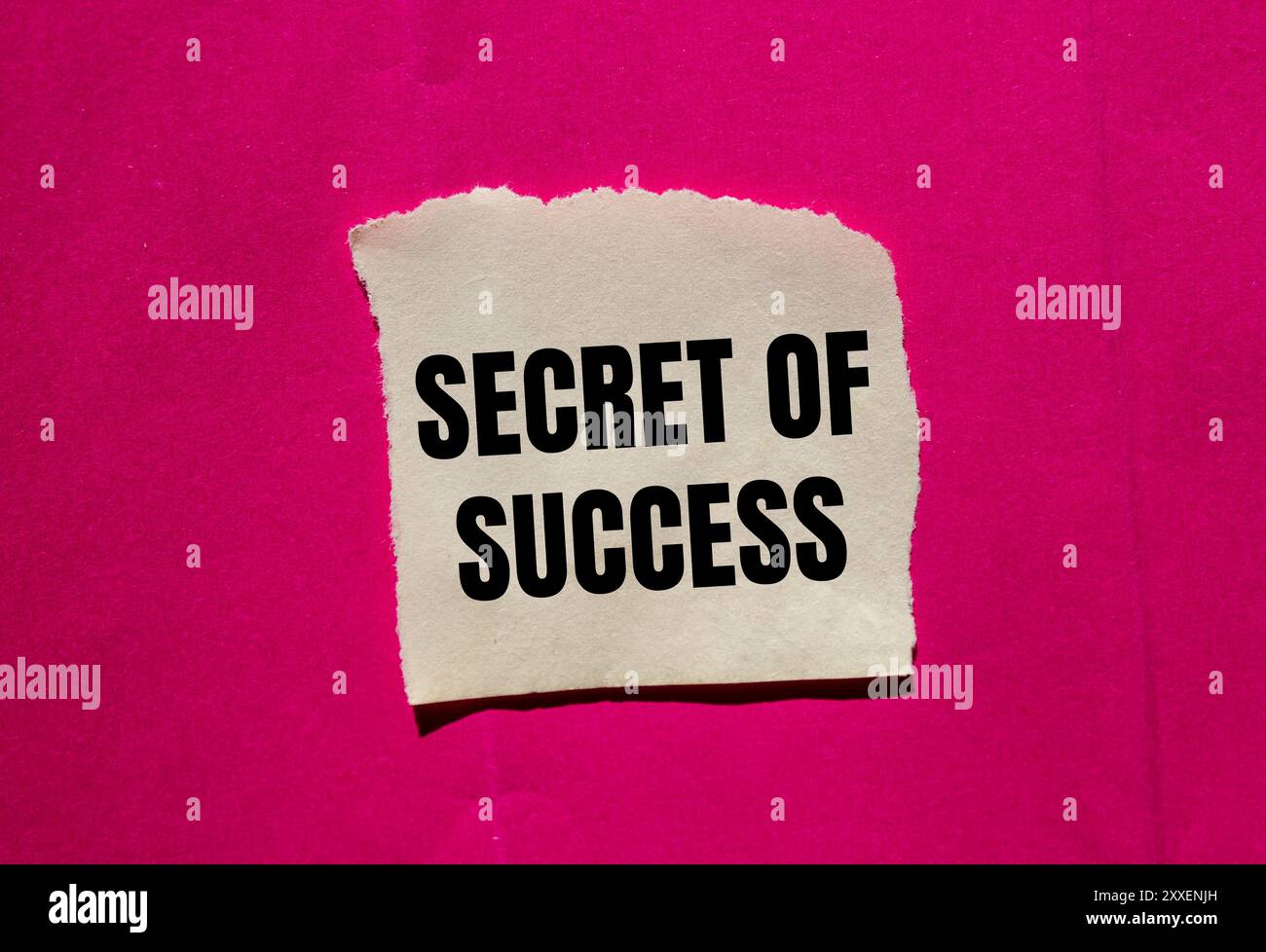 Secret of success message written on ripped torn paper piece on pink ...