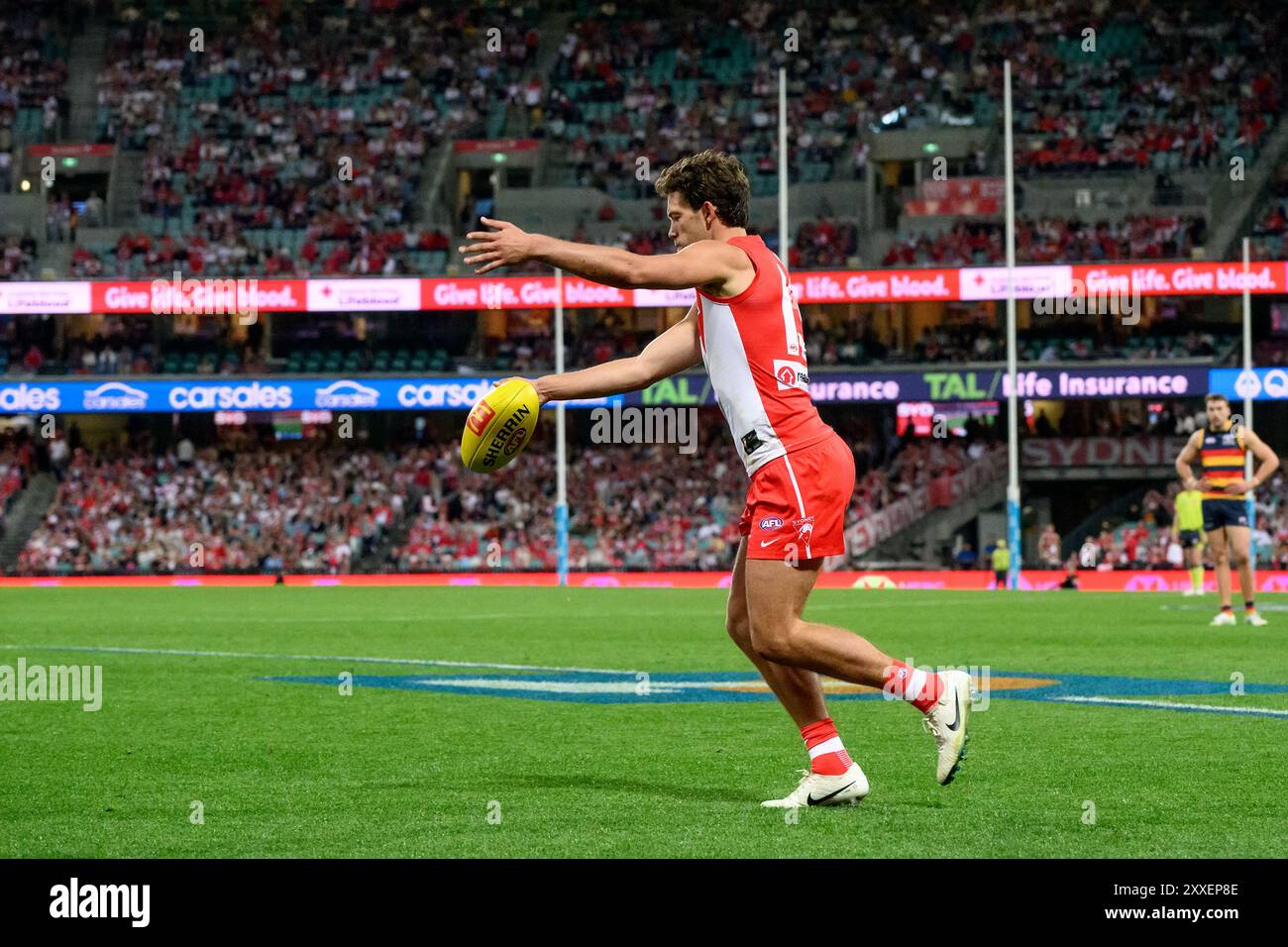 Sydney, Australia. 24th Aug, 2024. Oliver Florent of the Sydney Swans ...
