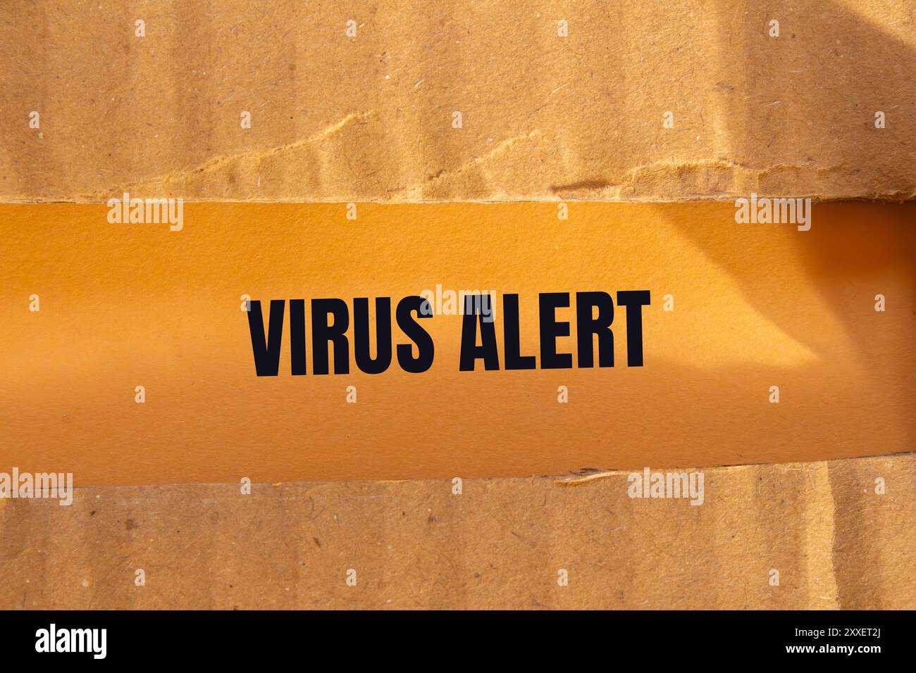 Virus alert message written on ripped torn cardboard paper with orange ...