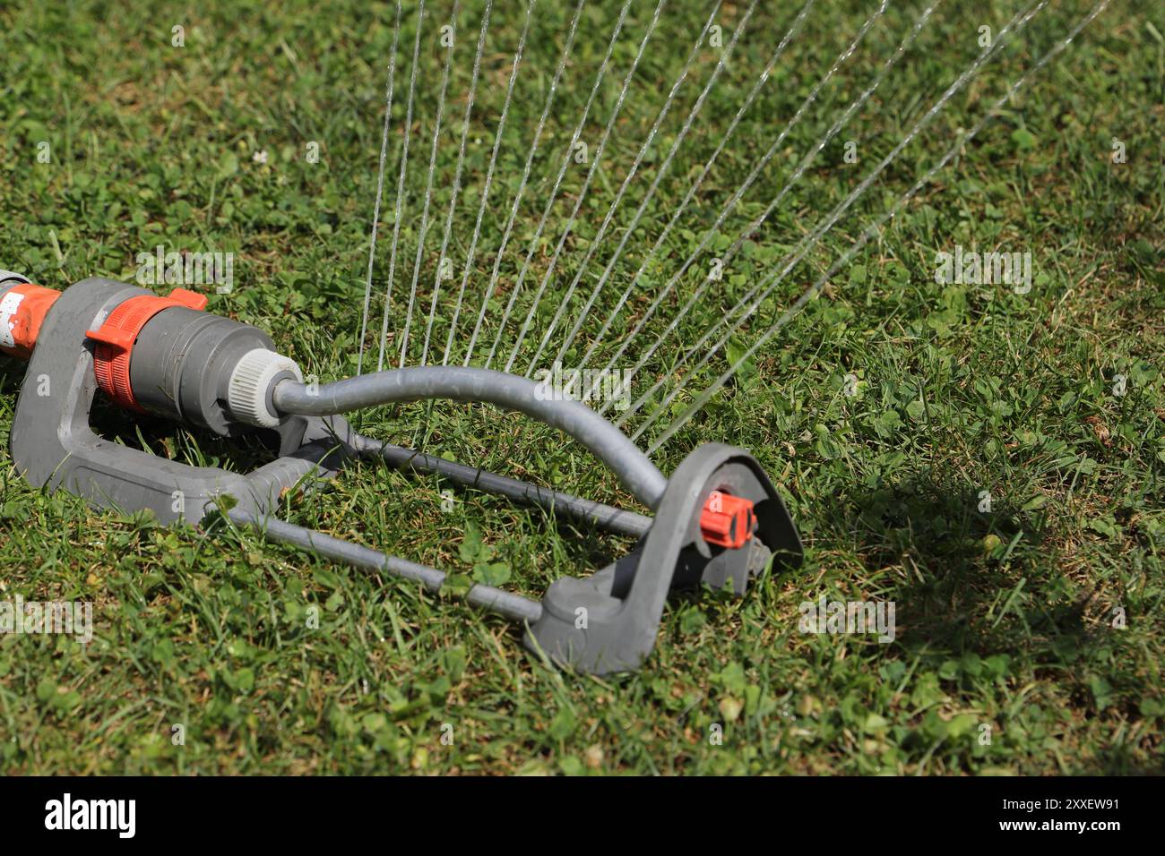 a lawn is automatically watered Stock Photo - Alamy