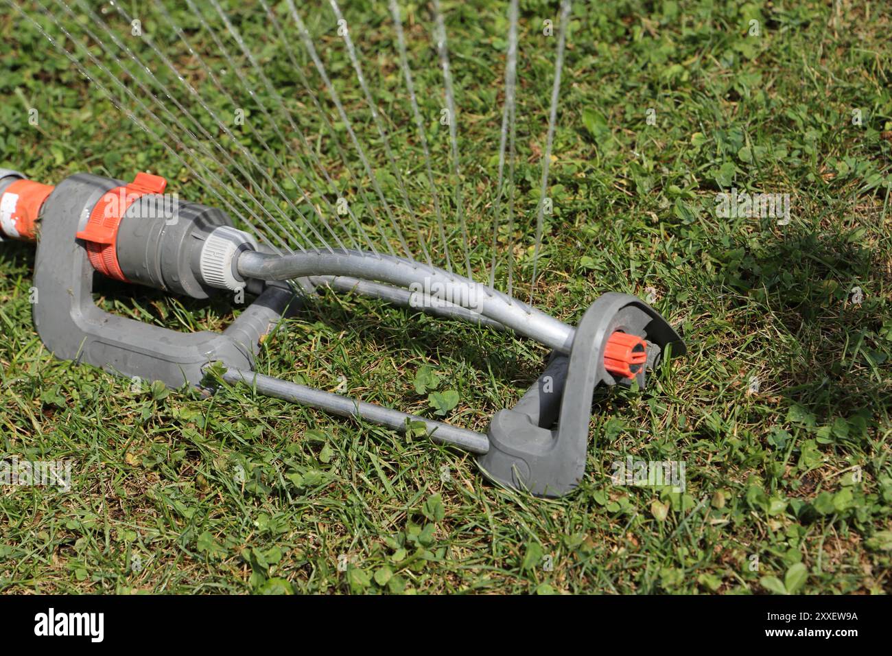 a lawn is automatically watered Stock Photo - Alamy