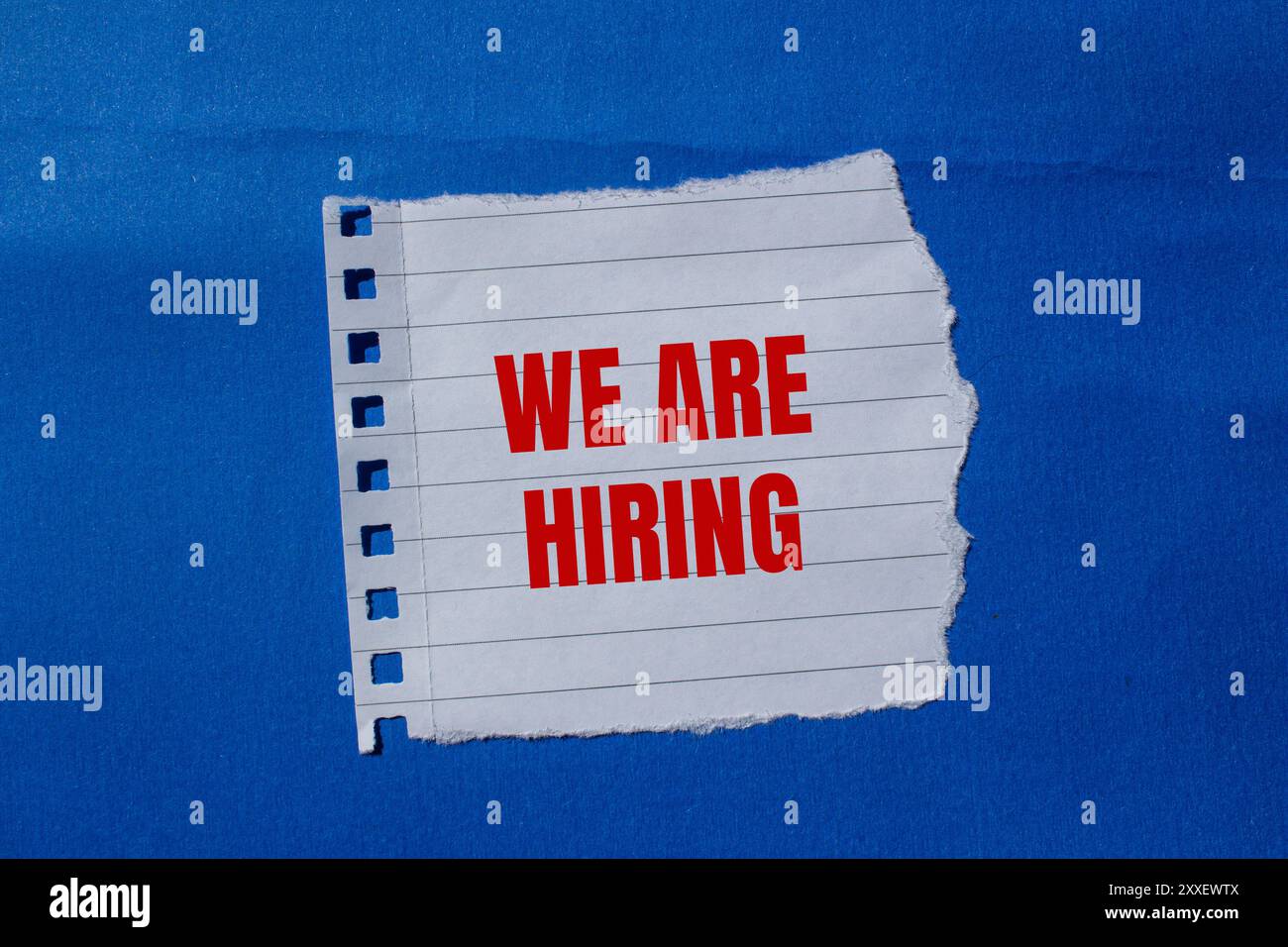 We are hiring message written on ripped torn paper piece with blue background. Conceptual we are ...