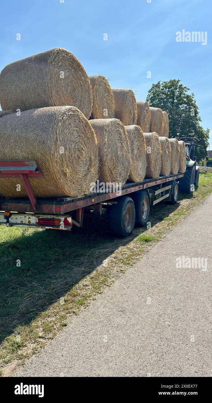 a trailer with straw bales Stock Photo - Alamy