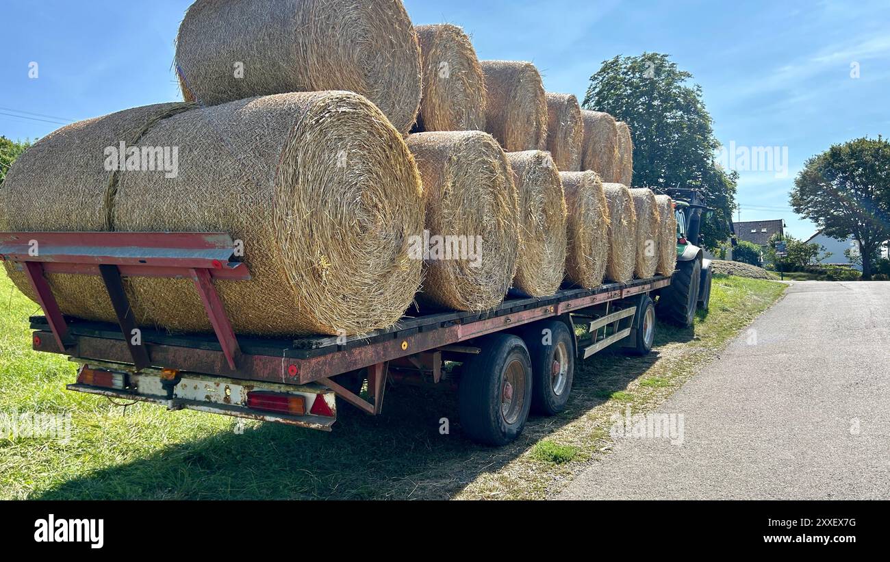 a trailer with straw bales Stock Photo - Alamy
