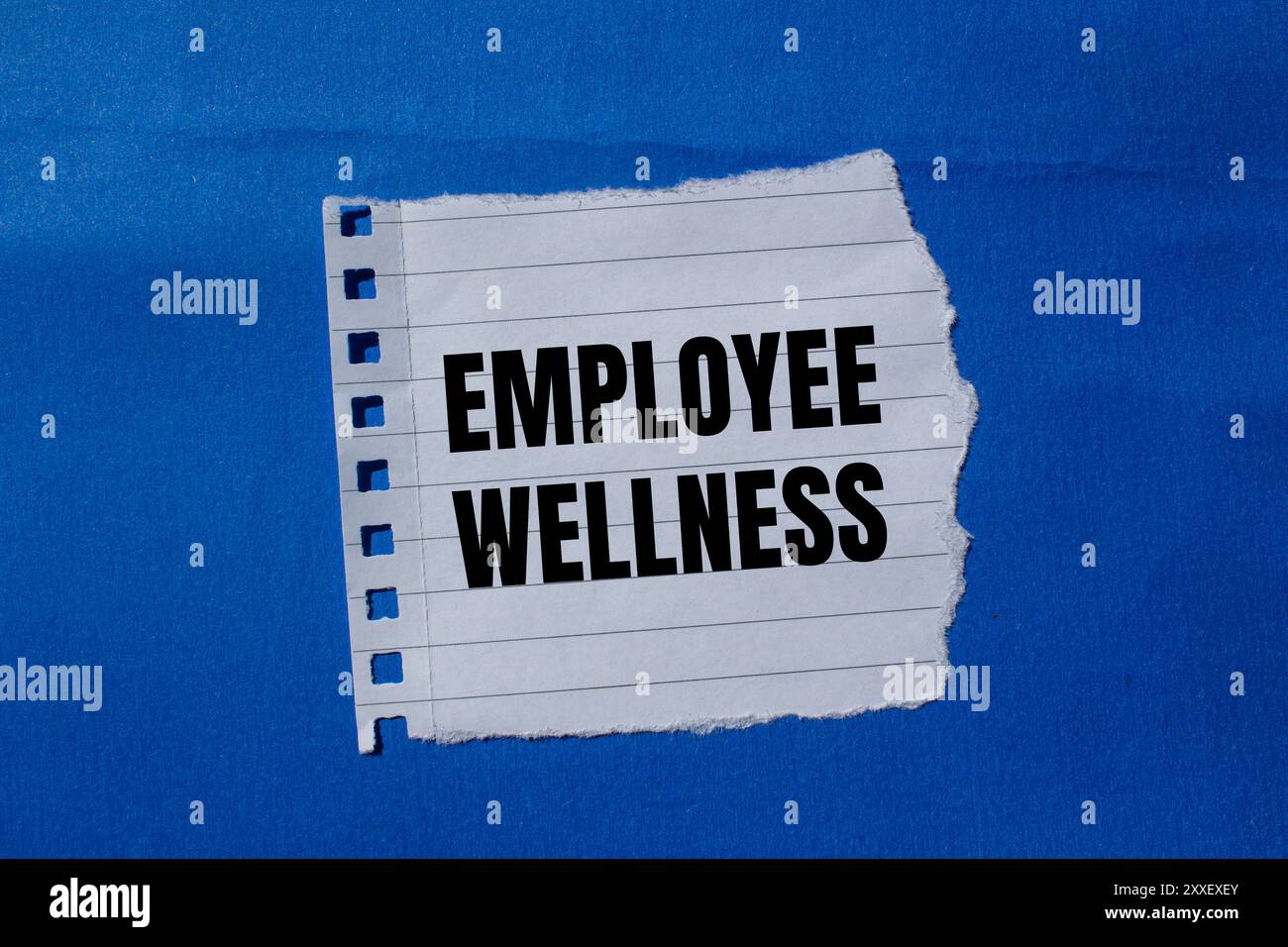 Employee wellness message written on ripped torn paper piece with blue ...