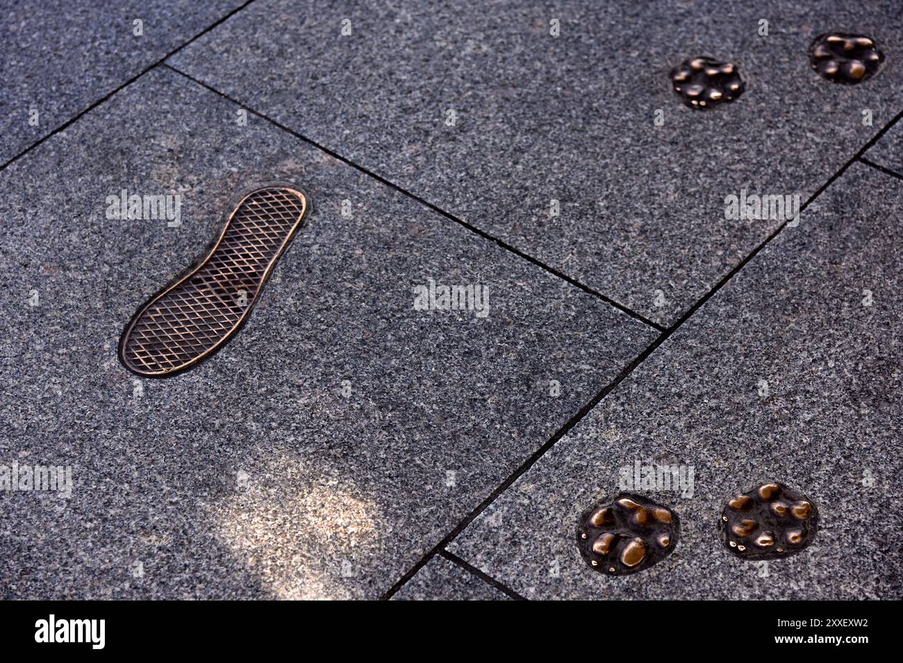 Paw on pavement hi-res stock photography and images - Alamy