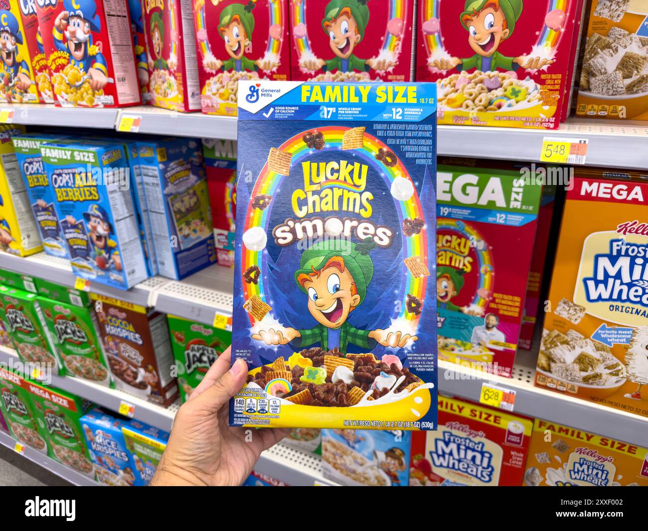 Los Angeles, California, United States - 04-14-2024: A view of a hand ...