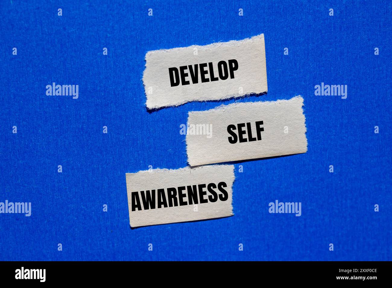 Develop self awareness message written on ripped torn paper peices on ...