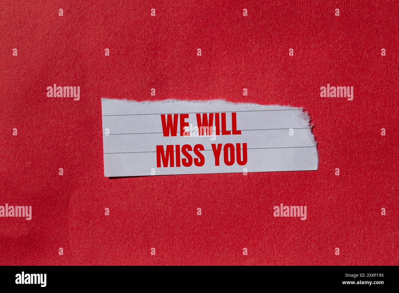 We will miss you message written on ripped torn paper piece with red background. Conceptual we ...