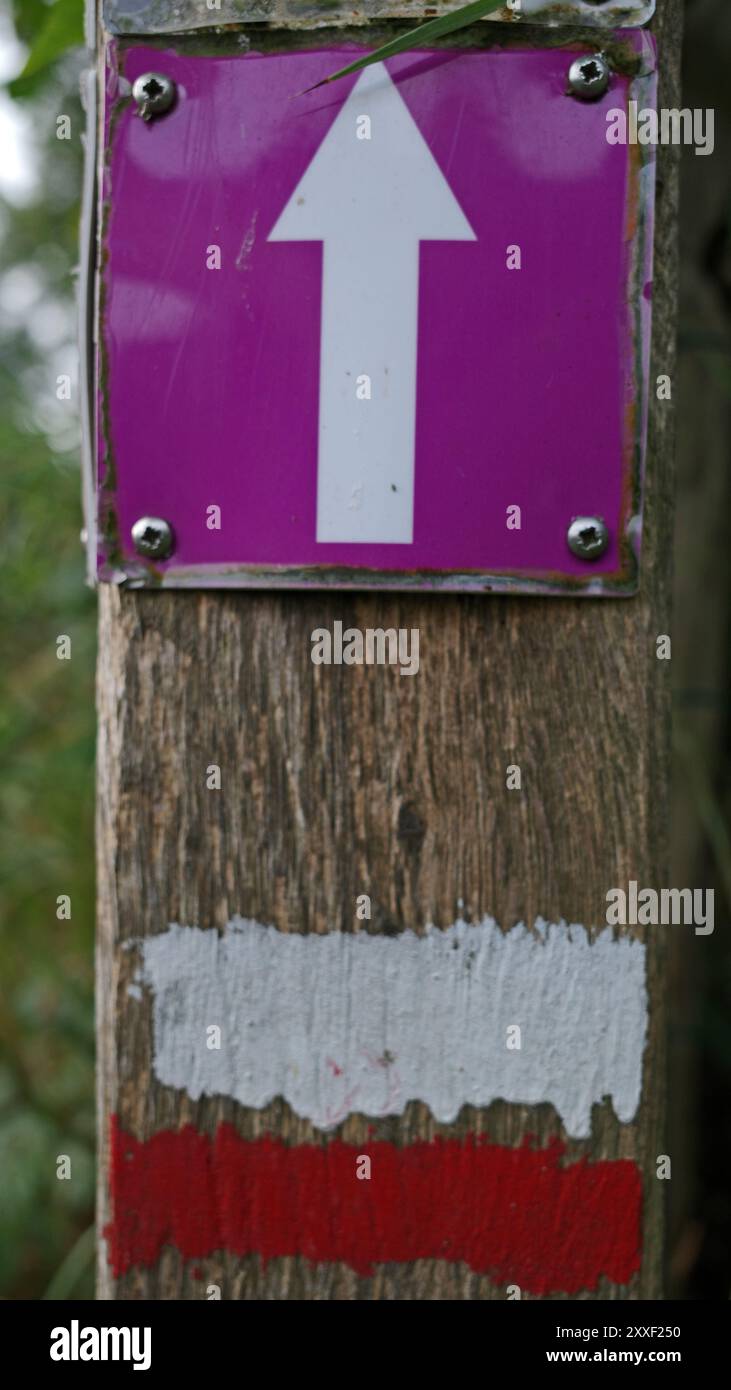 Two markers on a post next to a path. A white arrow on a purple ...