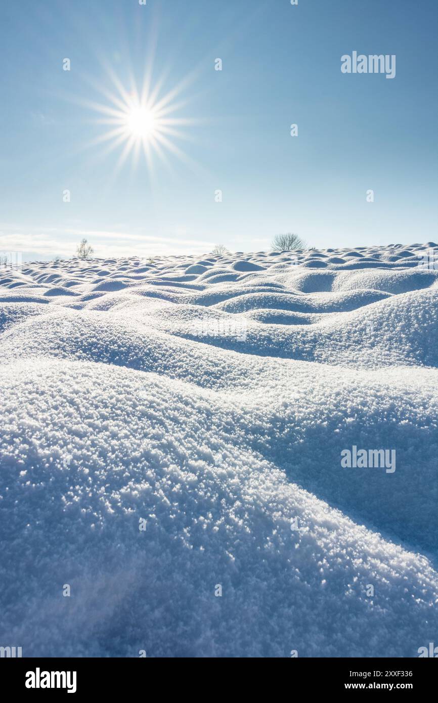 Fresh snow winter landscape from low angle, detailed structure of snow ...