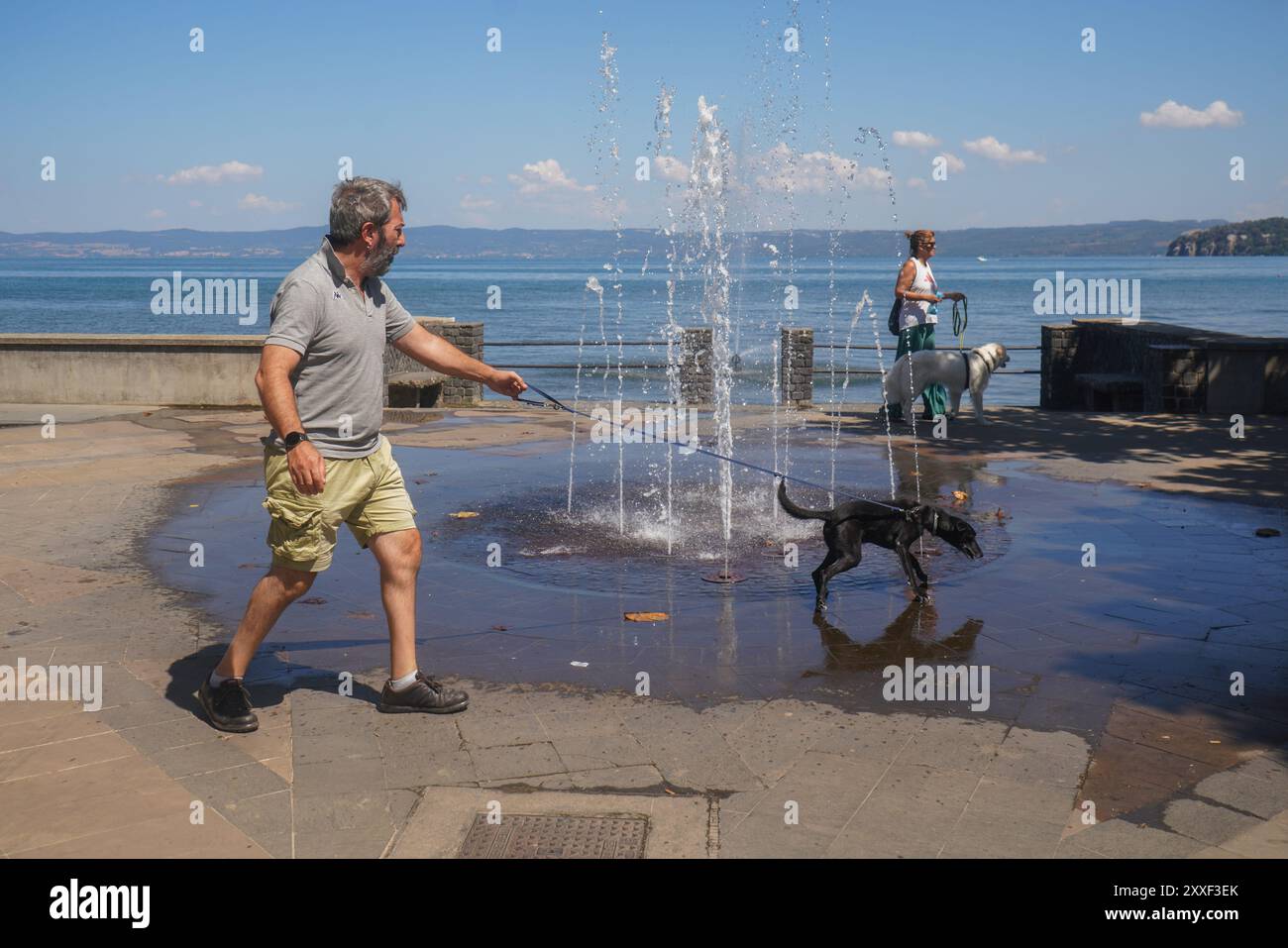 Marta, Italy. 24 August 2024. A man walks his dog to a water fountain ...