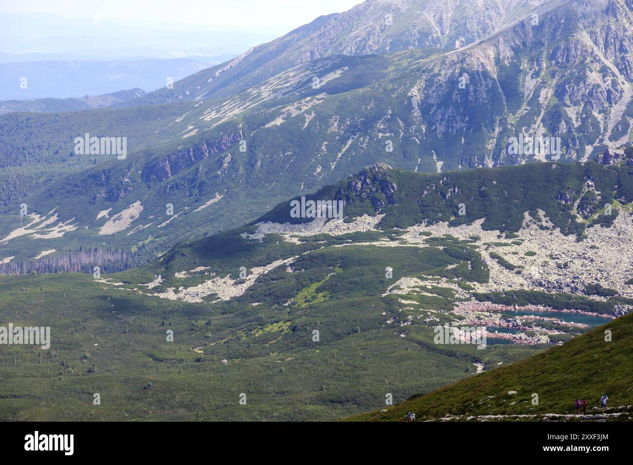 abstract, alpine, alps, background, beautiful, blue, business, calm ...