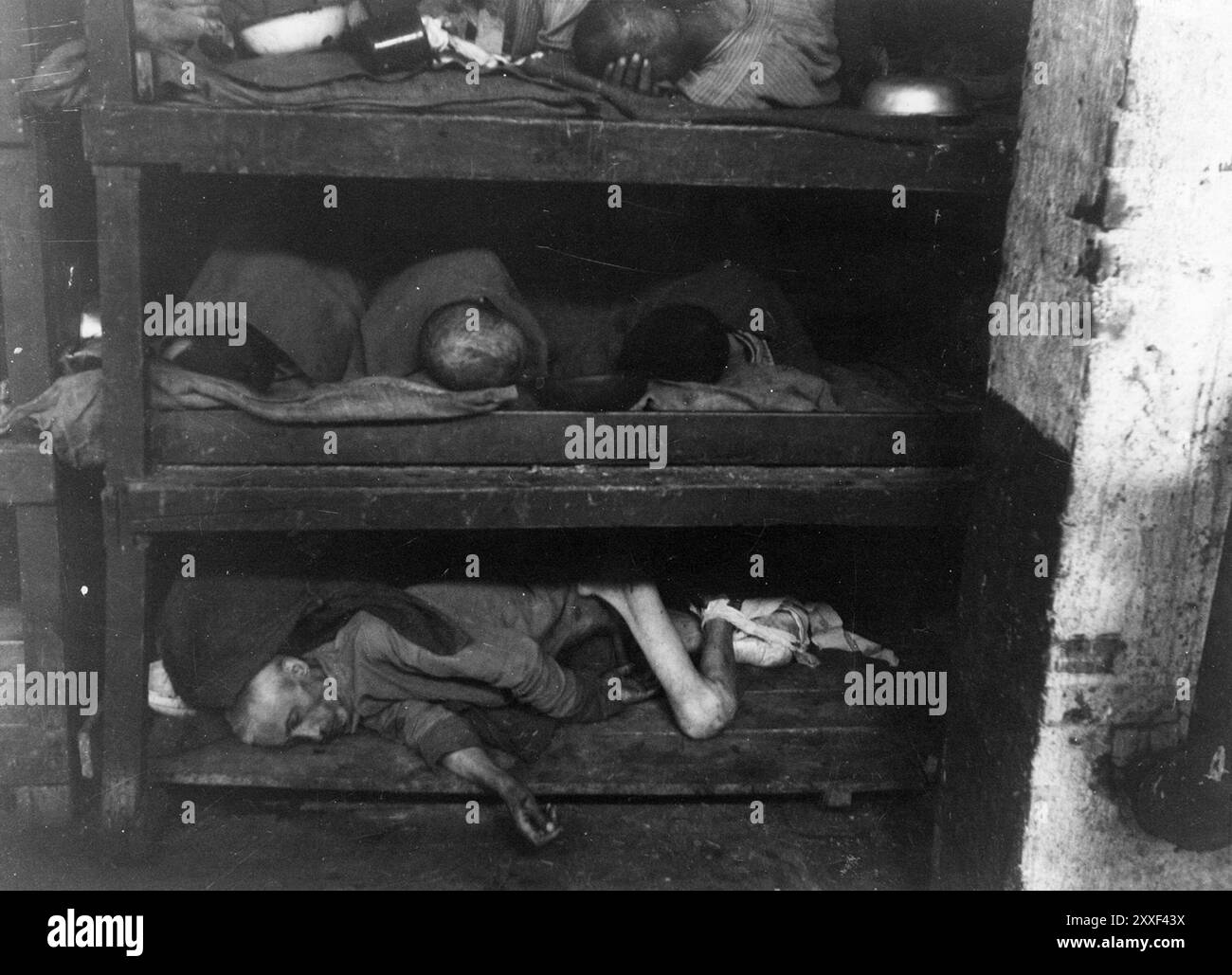 Nazi concentration camp bunks hi-res stock photography and images - Alamy