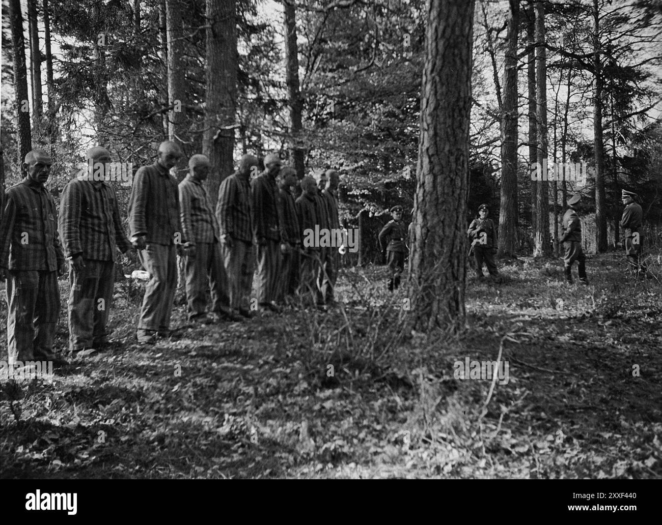 Nazi guard executions hi-res stock photography and images - Alamy