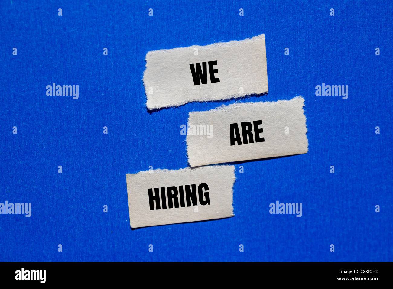 We are hiring message written on ripped torn paper peices on blue background. Conceptual we are ...