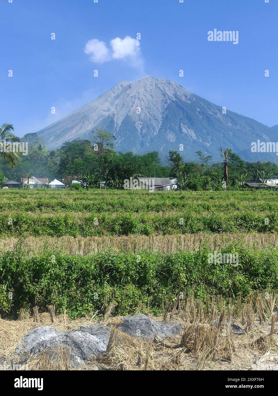 Mount Semeru, the highest mountain on the island of Java, Indonesia ...