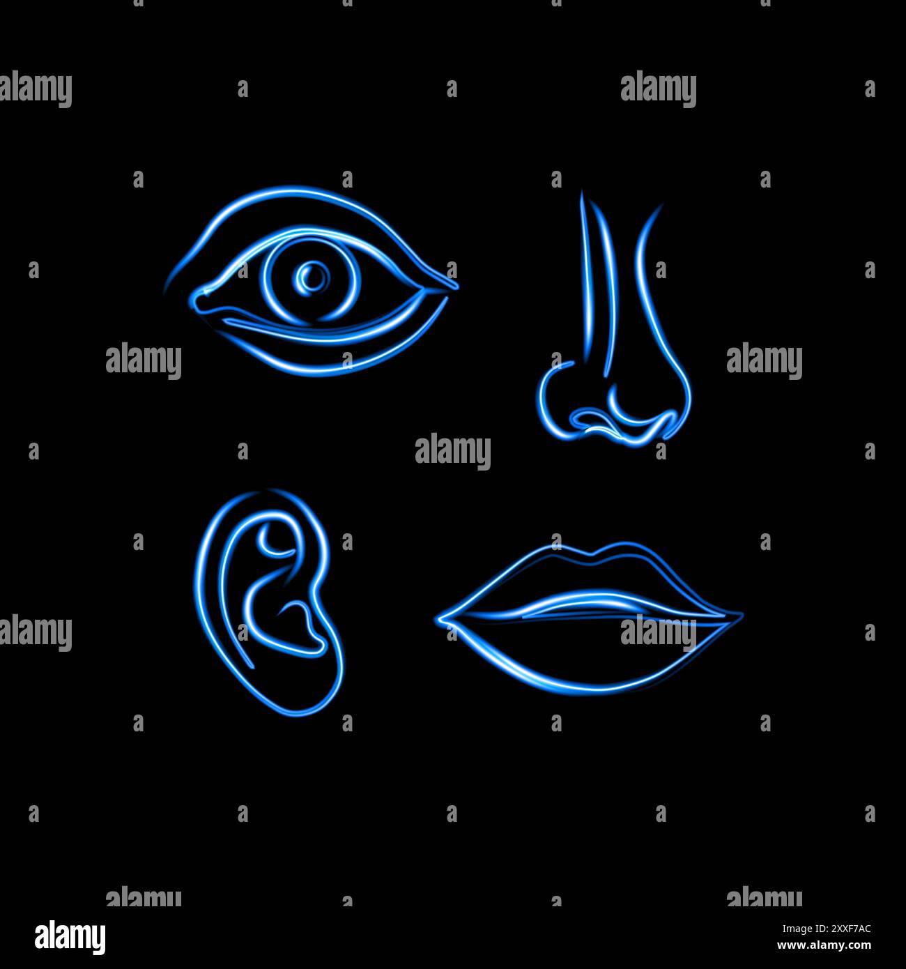 Set of human organs with neon effect Stock Vector Image & Art - Alamy