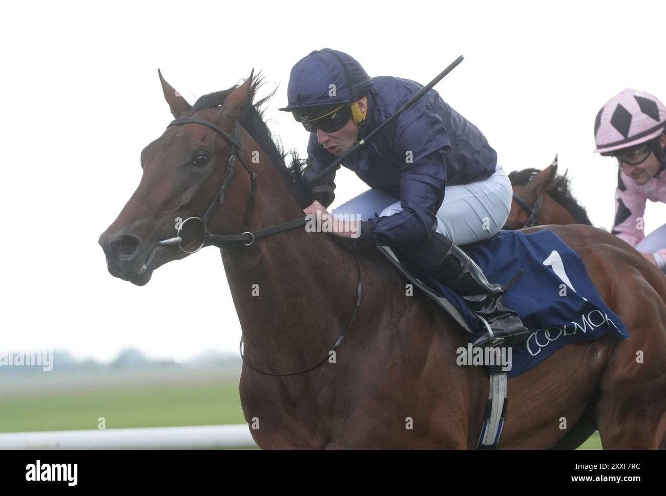 Henri matisse horse racing hi-res stock photography and images - Alamy