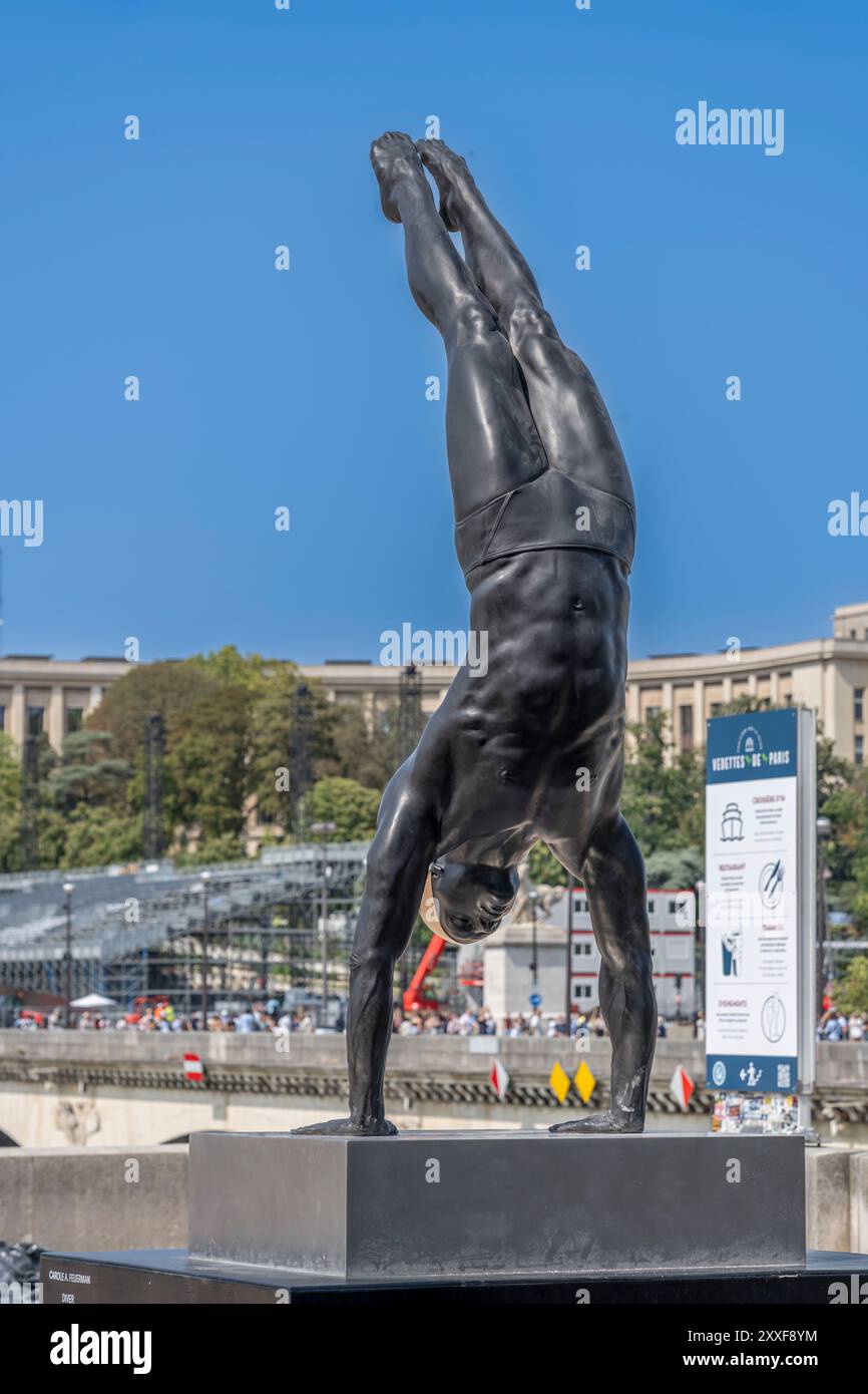Paris, France - 06 14 2024: Olympic Games Paris 2024. View of the Diver ...