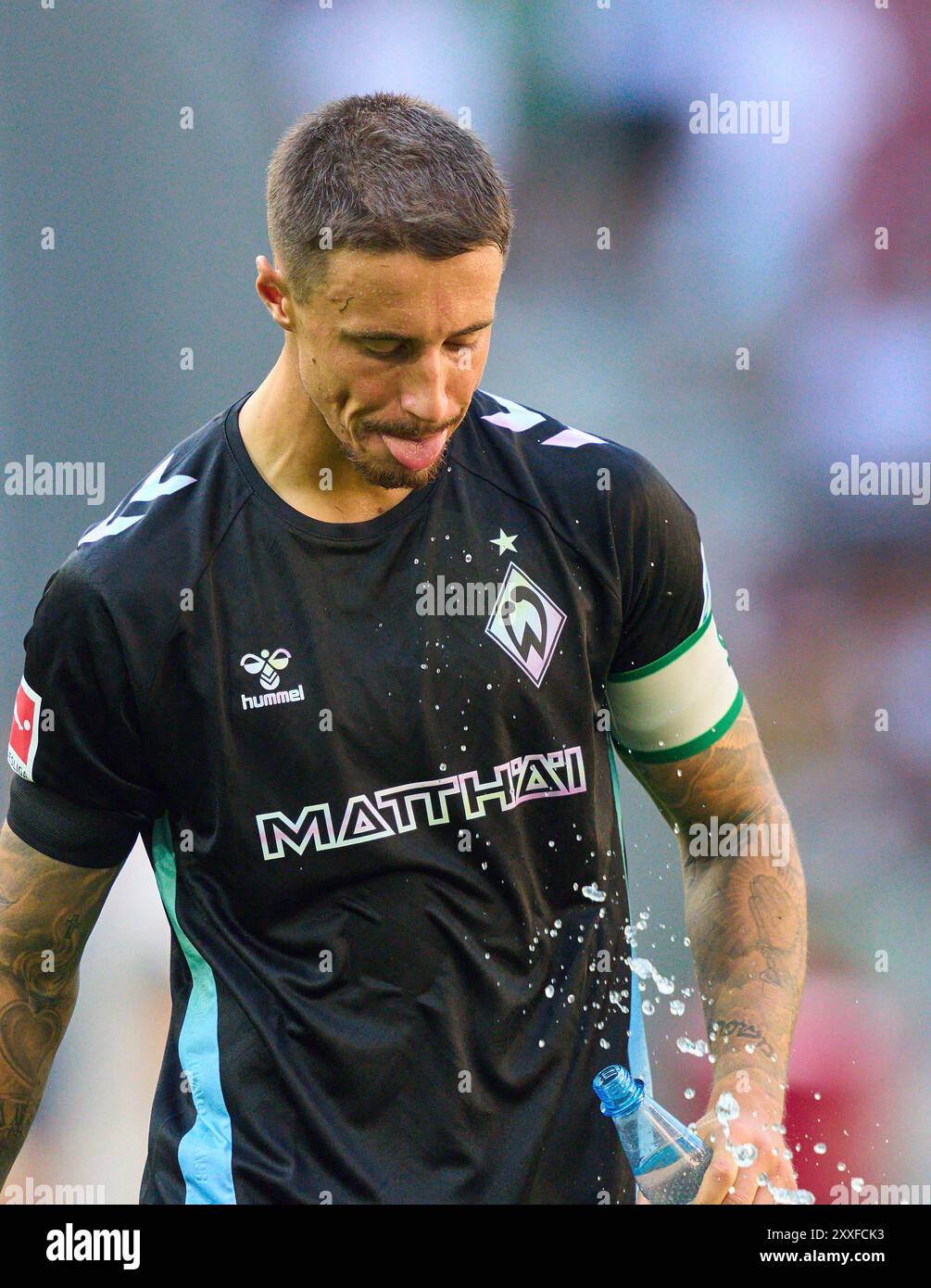 Saison 024 2025 hi-res stock photography and images - Alamy