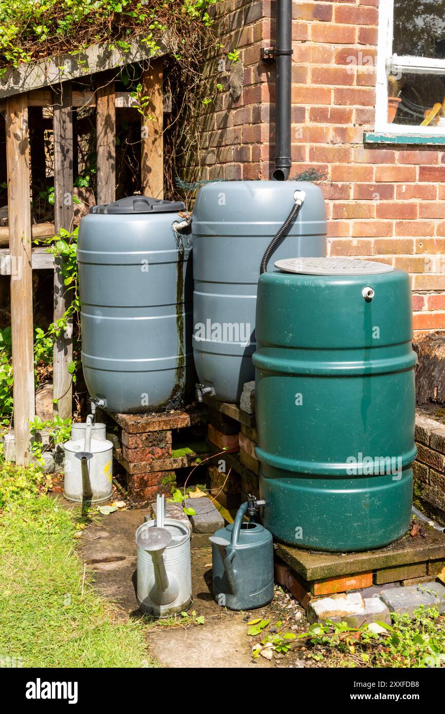 Water butts collecting rainwater for gardening, UK. 2024 Stock Photo ...