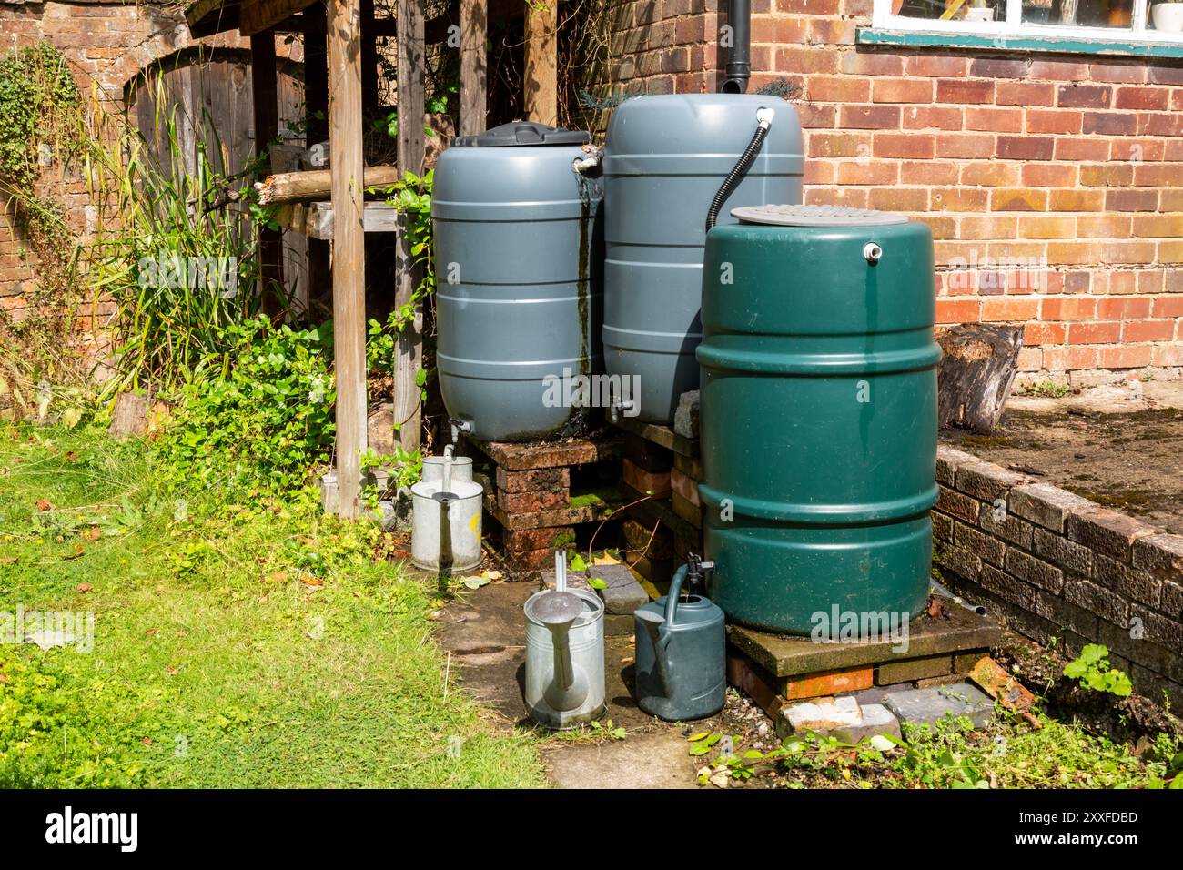 Water butts collecting rainwater for gardening, UK. 2024 Stock Photo ...