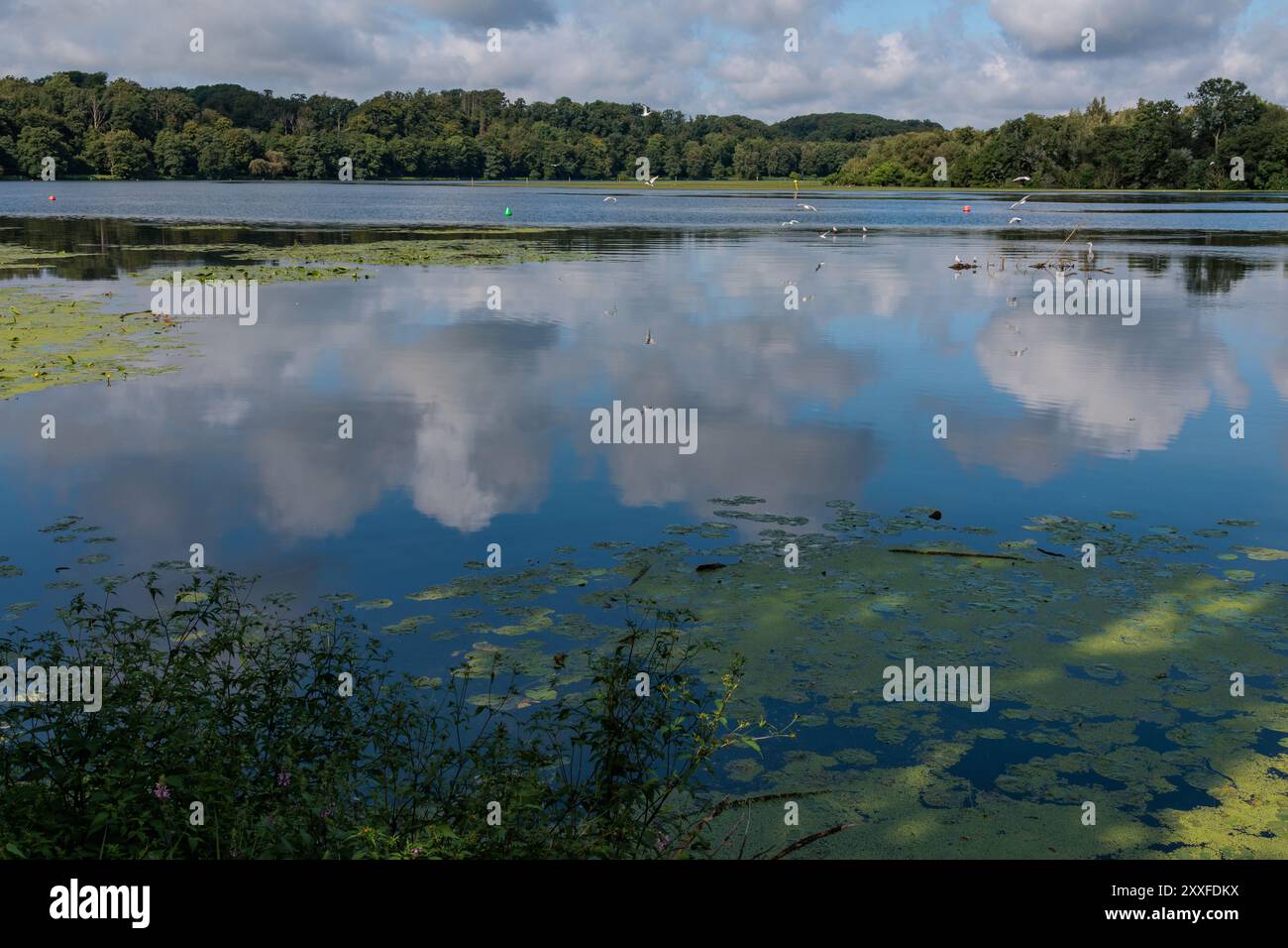 lake baldeney in essen germany Stock Photo - Alamy
