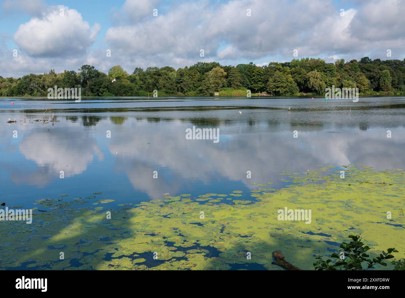 lake baldeney in essen germany Stock Photo - Alamy
