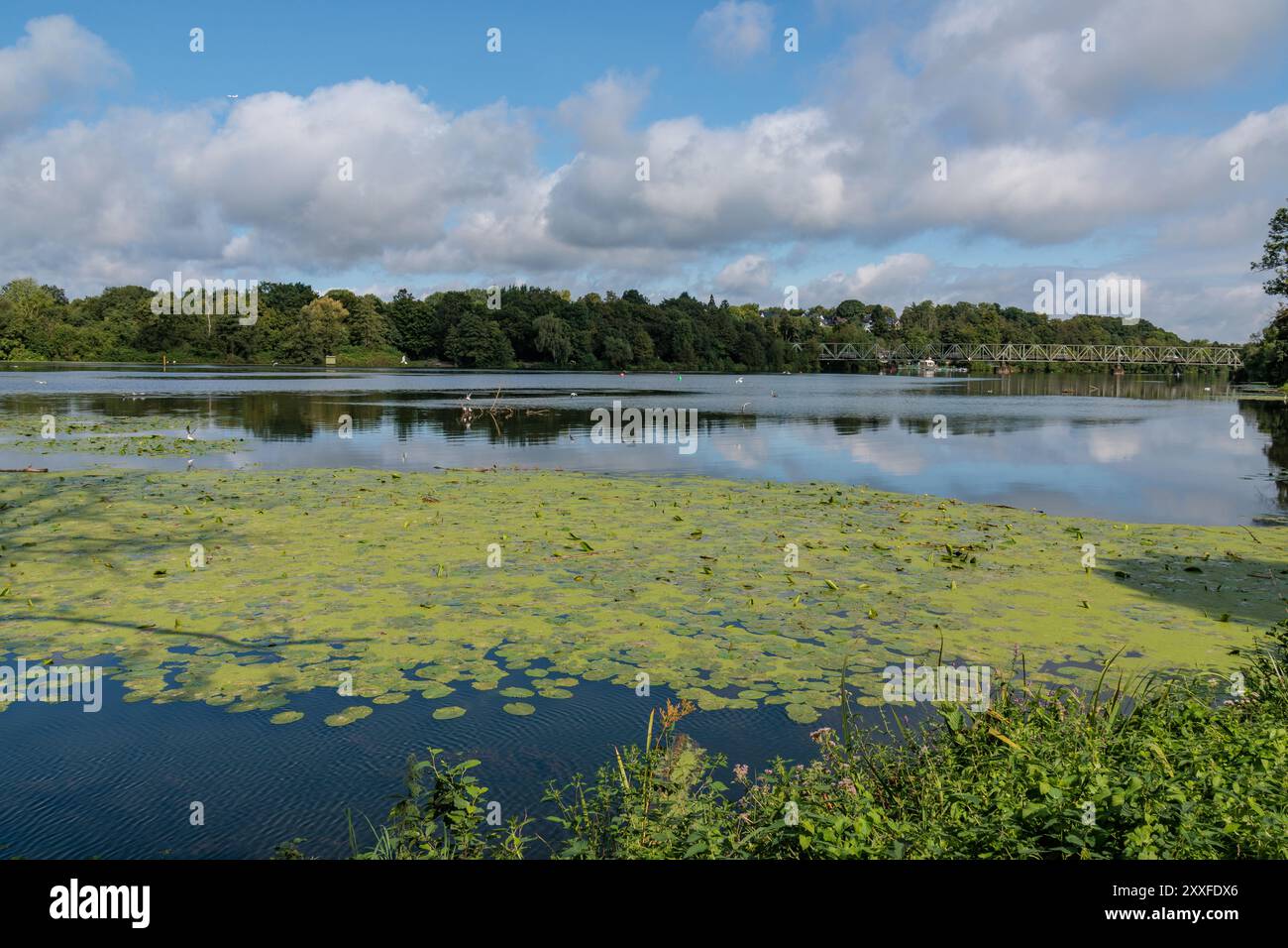 lake baldeney in essen germany Stock Photo - Alamy