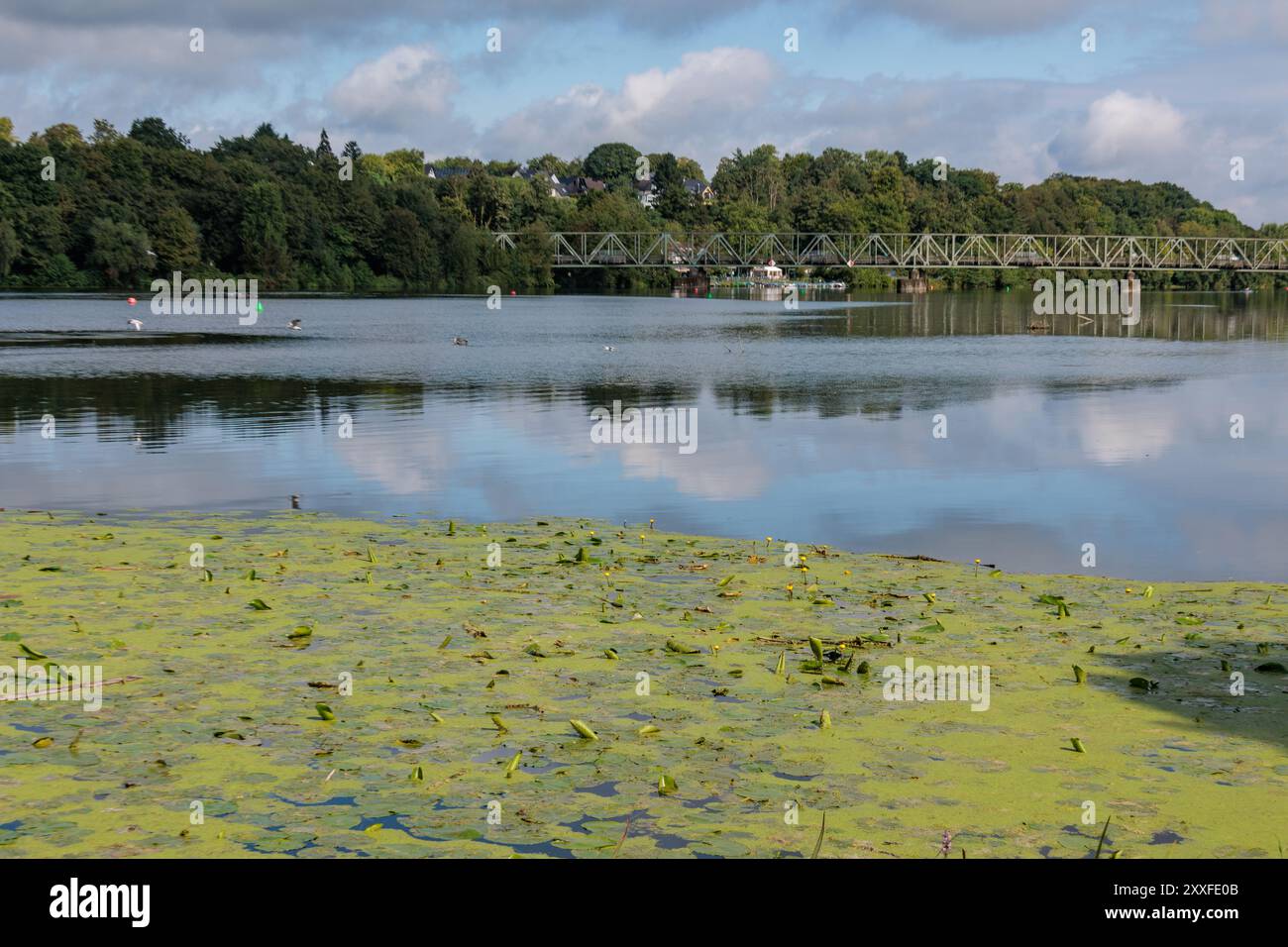 lake baldeney in essen germany Stock Photo - Alamy